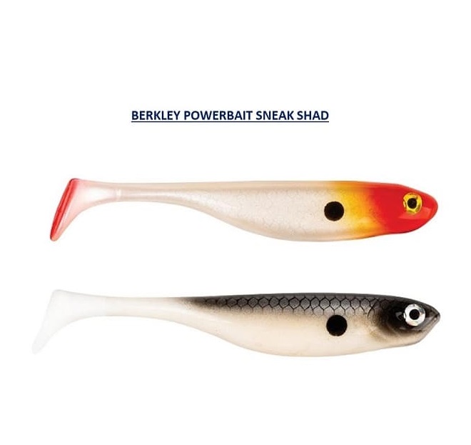 BERKLEY - SNEAK SHAD 5 cm - vrachnos.gr