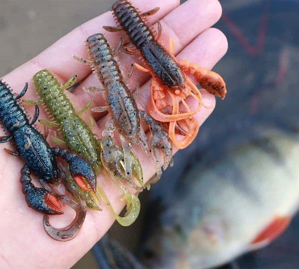 BERKLEY - Realistic Craw -7 cm / 8 pcs + 2 Jig - vrachnos.gr